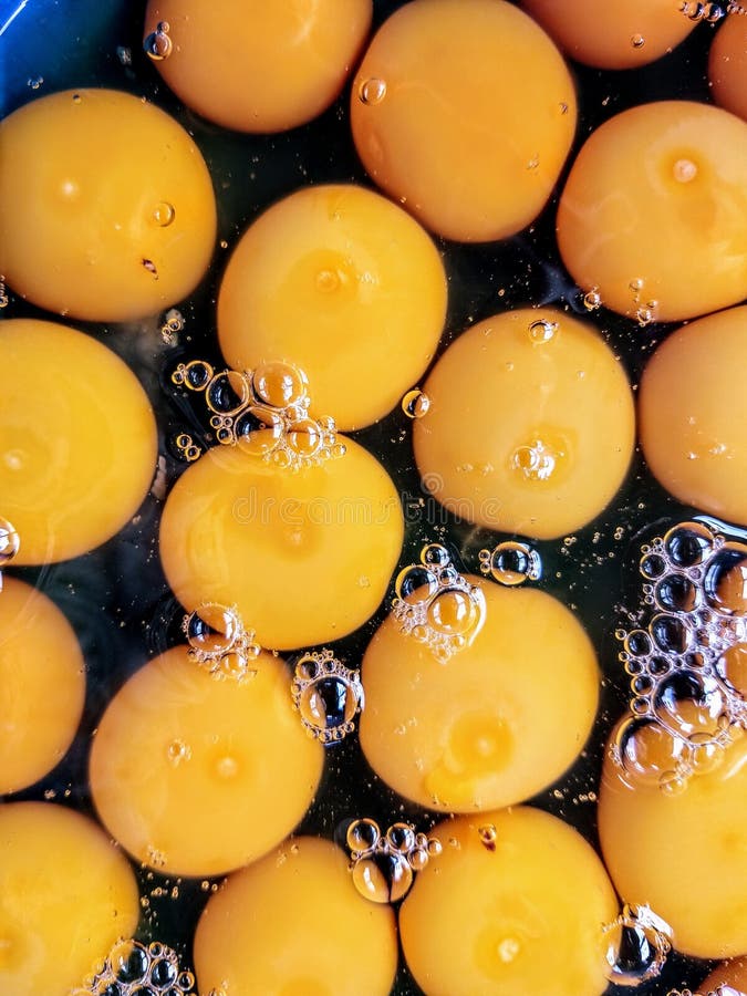 Egg yolk stock photo. Image of yolk, round, oval, horizon - 144871962