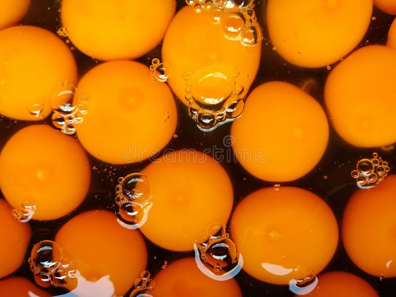 Egg yolk stock photo. Image of oval, chicken, yolk, group - 144871848