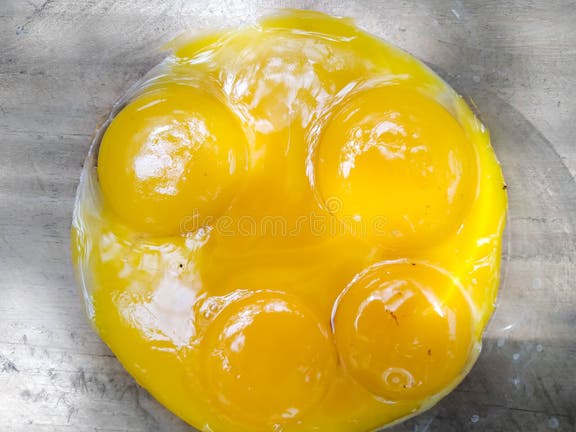 Egg yolk 2 stock photo. Image of cream, dairy, yolk - 328724240