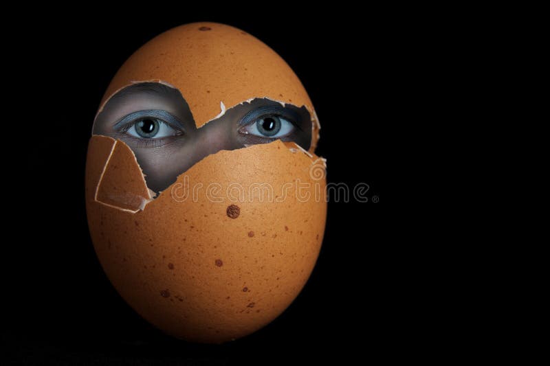 Egghead stock image. Image of egghead, organic, iris - 60666789