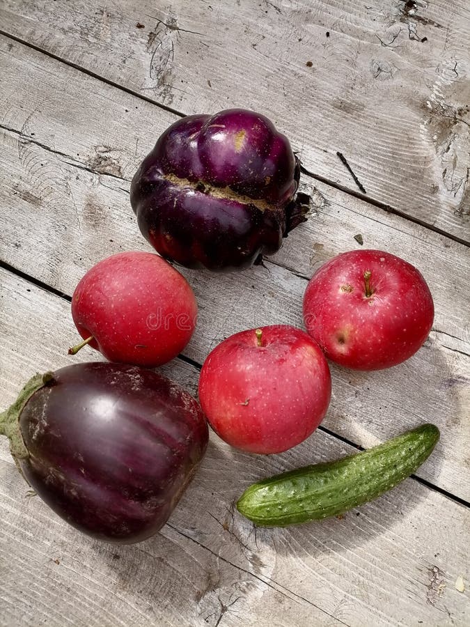 Eggplant Apples and Cucumber Stock Image - Image of tree, berry: 261343495