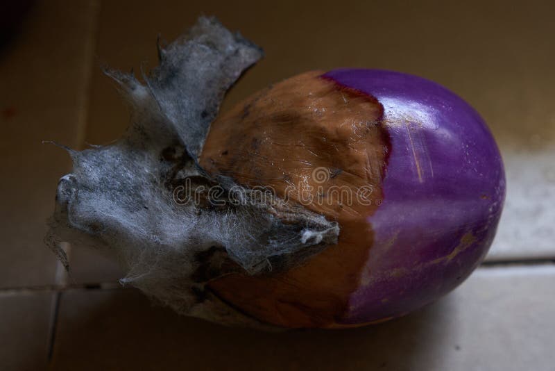 Spoiled Eggplant Photos - Free & Royalty-Free Stock Photos from Dreamstime