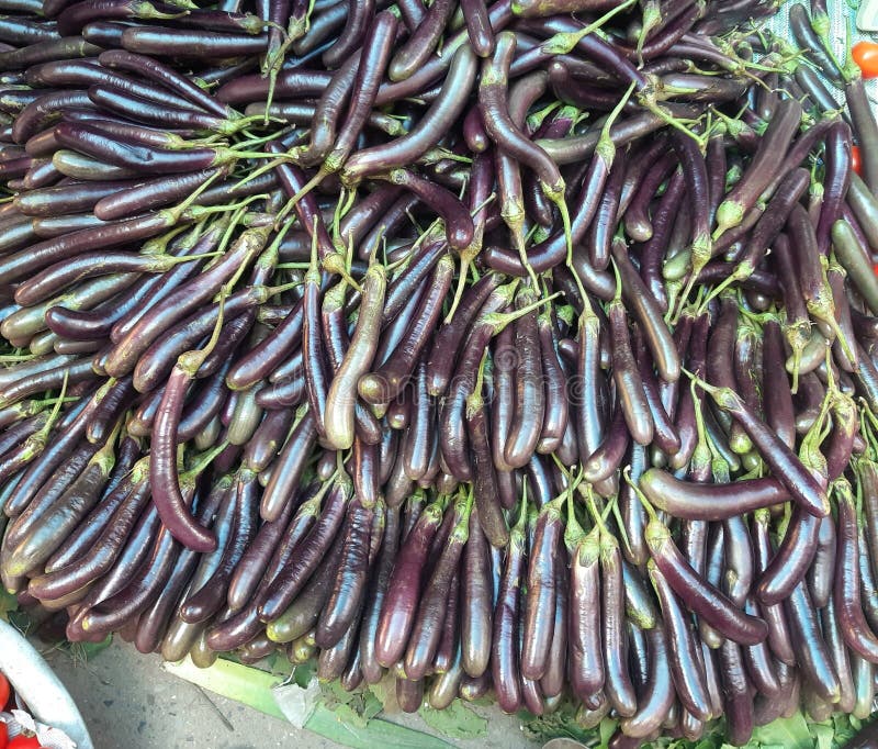 Bringl Stock Photos - Free & Royalty-Free Stock Photos from Dreamstime