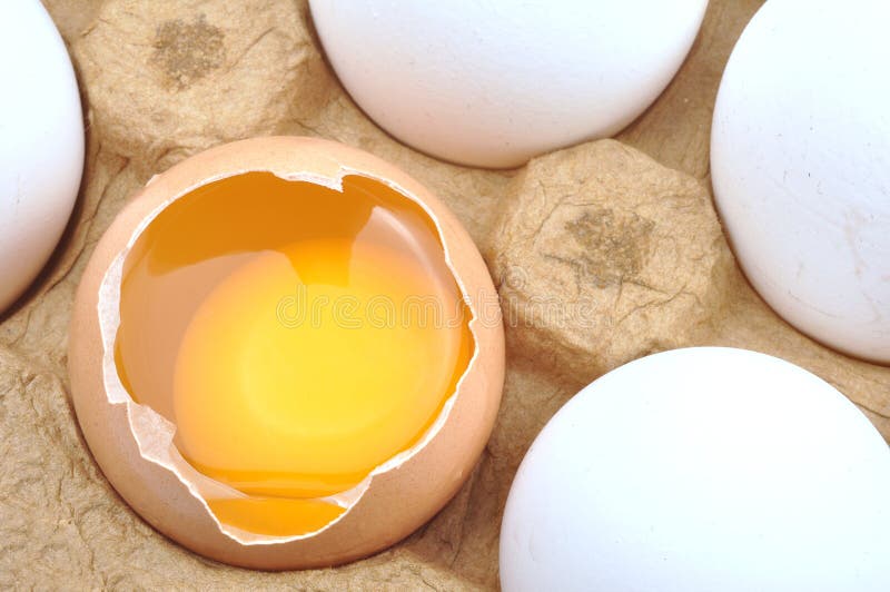 Eggs stock photo. Image of oval, brown, isolate, chicken - 13871996