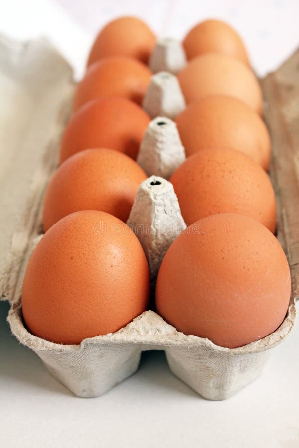 Eggs stock photo. Image of ingredients, eggs, carton - 18201000