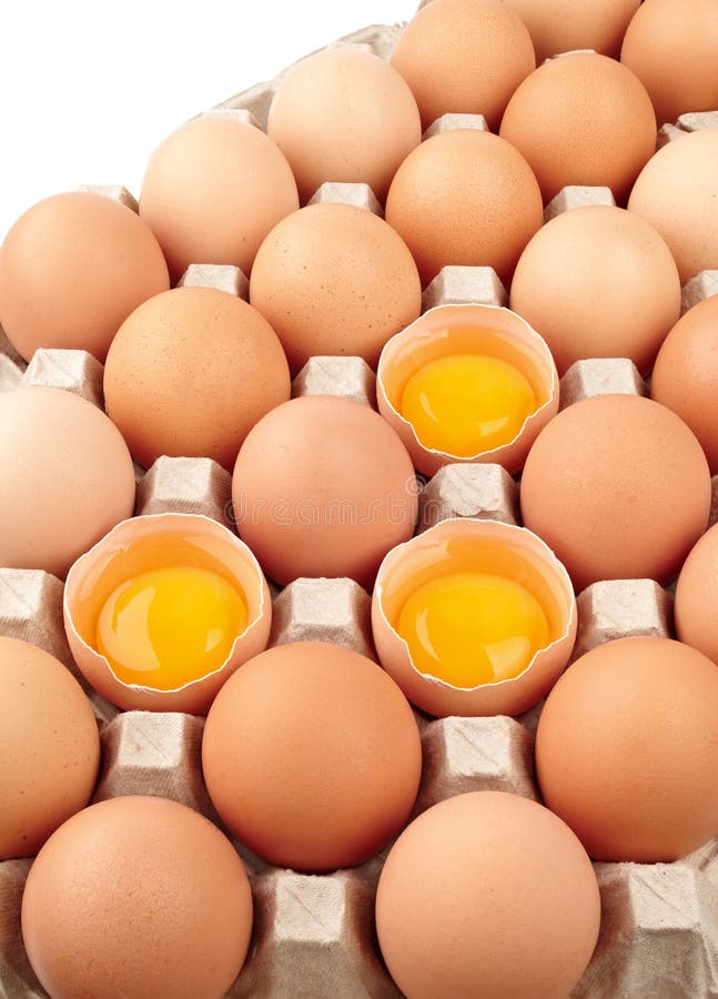 Eggs stock image. Image of eggs, chopped, yolk, container - 22358105