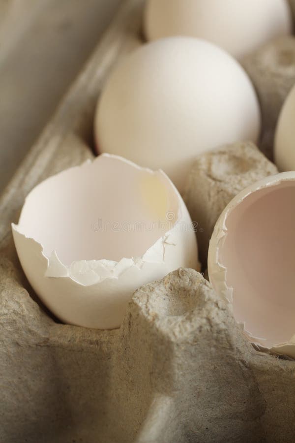 Eggs stock image. Image of organic, freshness, protein - 22846889