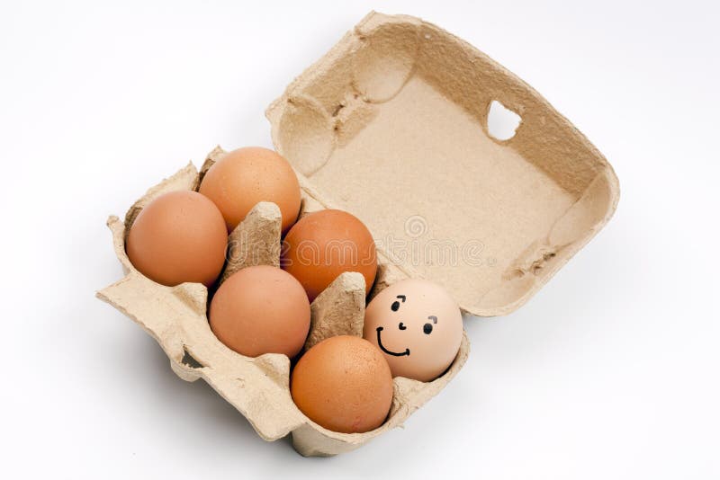 Eggs stock photo. Image of cholesterol, baking, dozen - 23467244