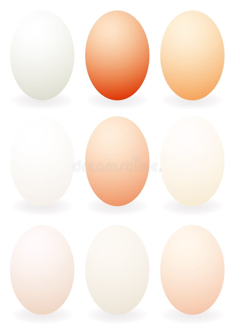 Nine Eggs Stock Illustrations – 490 Nine Eggs Stock Illustrations ...