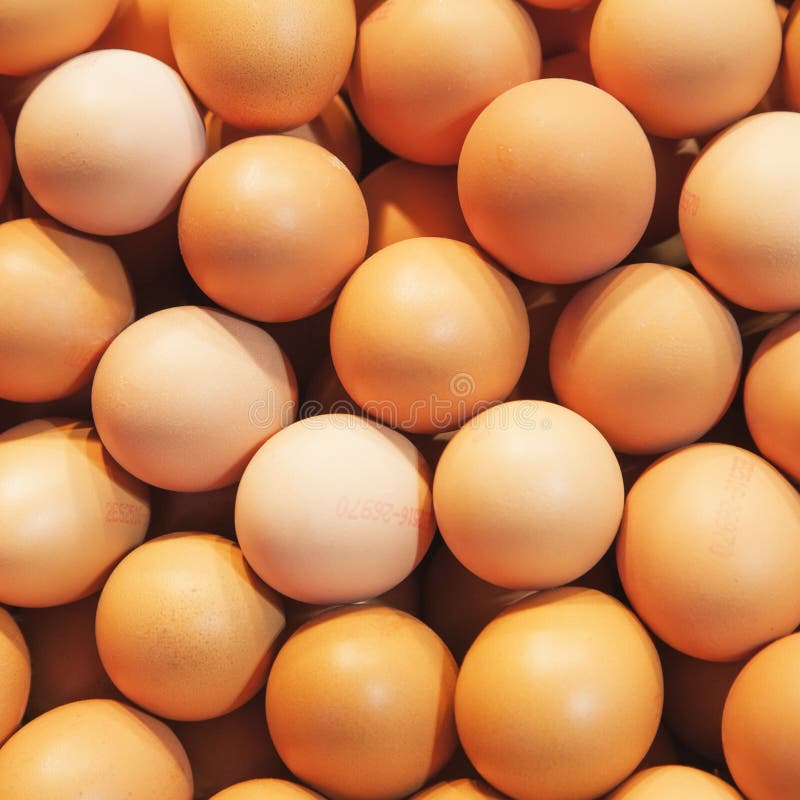 Eggs Abstract Minimalistic Background Stock Photo - Image of fresh ...