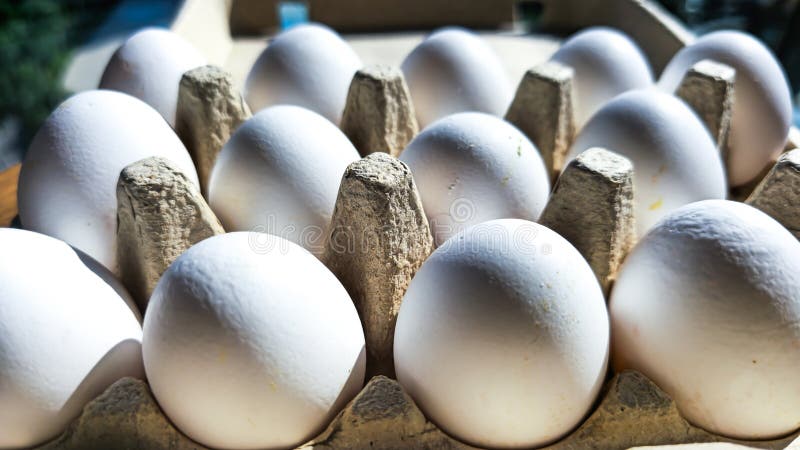 Eggs As a Group in an Egg Box Stock Photo - Image of recipe, detail ...