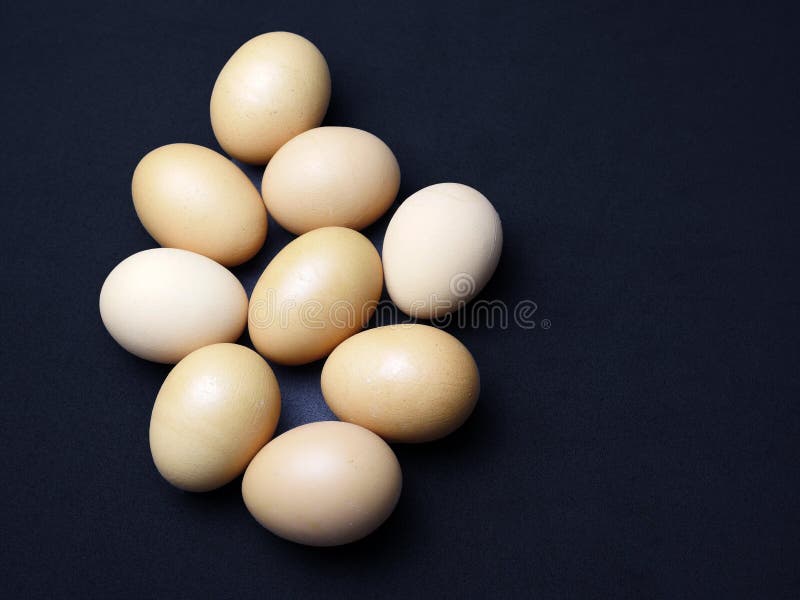 Eggs on a back stock image. Image of nature, server, chicken - 88894353