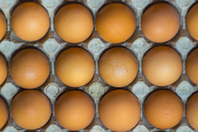 Eggs Background Close-up Top View Stock Photo - Image of round, organic ...