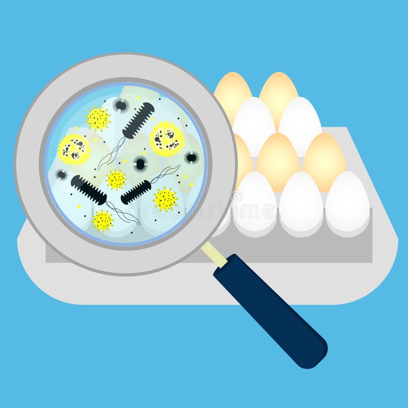 Egg Contaminated with Salmonella Stock Vector - Illustration of design ...