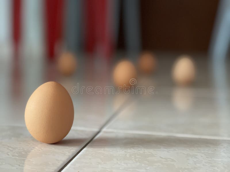 Eggs Balancing on the Spring Begins Stock Photo - Image of groups, food ...