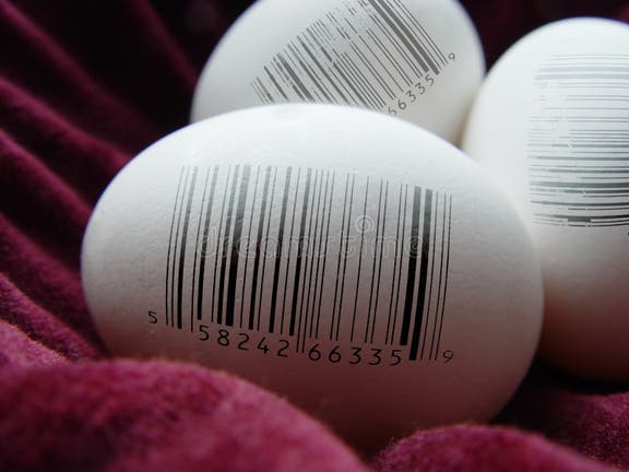 Eggs with Barcodes stock image. Image of eggs, white, barcodes - 248541