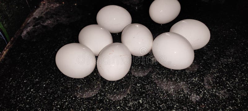 Eggs Beautiful Dork Background Image Stock Image - Image of organ, eggs ...