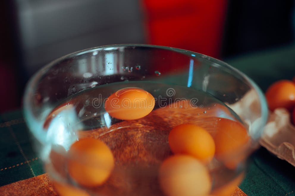 Eggs Being Tested for Freshness in a Bowl with Water Stock Photo ...