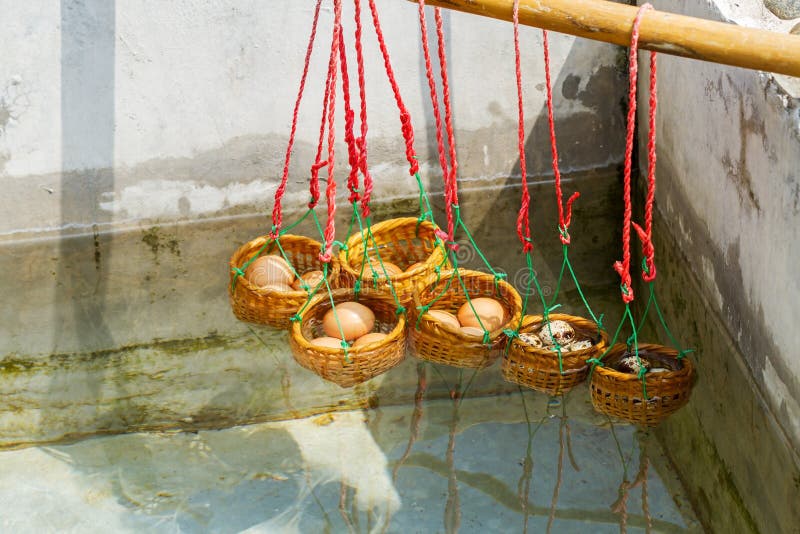 Eggs boiling in hot spring stock image. Image of healthy - 49397261