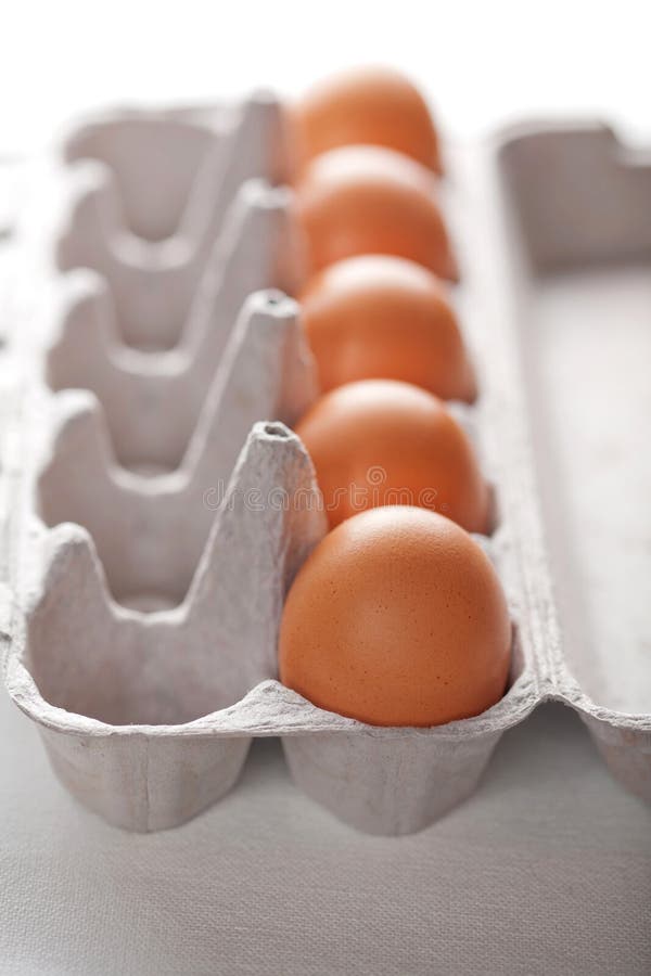 Eggs in box isolated stock image. Image of freshness - 15856643