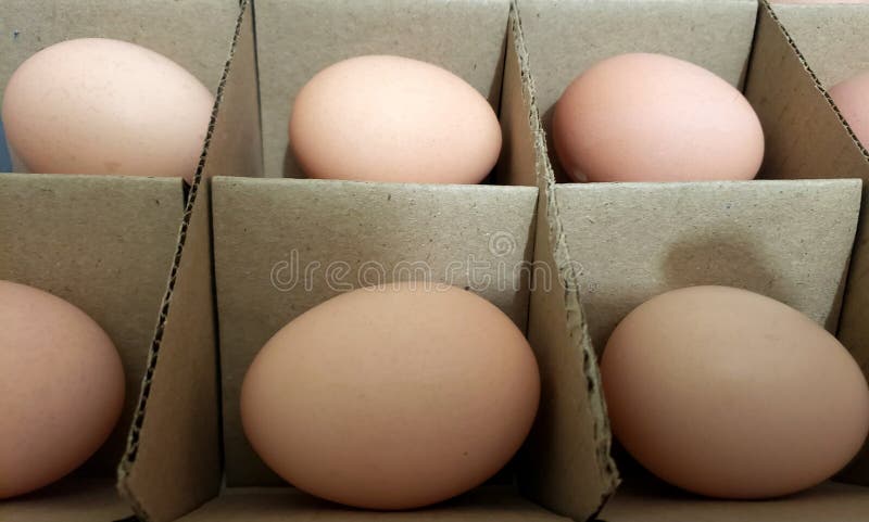 Eggs.Eggs Box.Eggs Packing Box of Brown Close Up View Stock Image ...