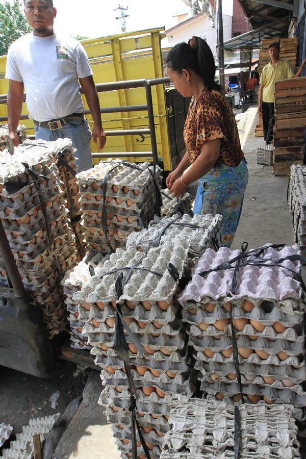 Eggs editorial photography. Image of food, market, central - 48446102