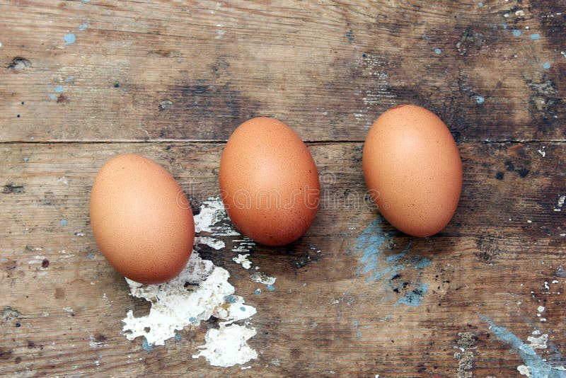 Eggs stock photo. Image of wood, chicken, brown, ingredients - 65982124
