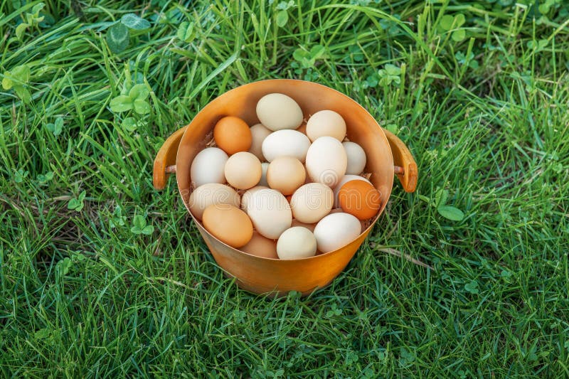 Most Important Muscle Body Stock Photos - Free & Royalty-Free Stock ...