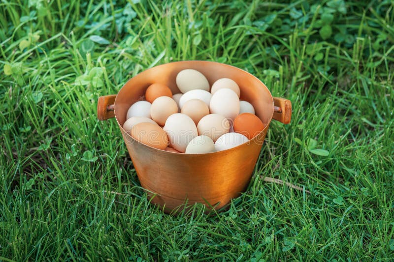 Most Important Muscle Body Stock Photos - Free & Royalty-Free Stock ...