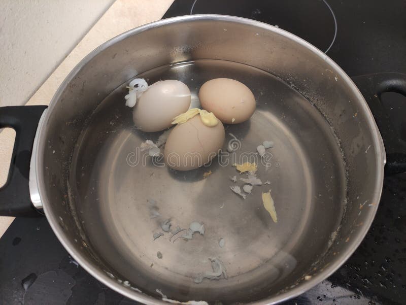 Eggs Burst while Cooking in a Pan and the Egg White Leaked into Water ...