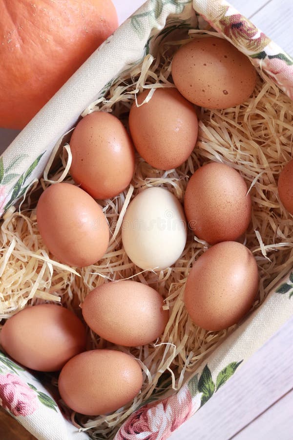 Fresh Raw Eggs in a Paper Egg Container. Open Egg Packaging and Ripe ...