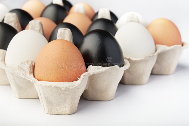 Eggs in Cardboard Boxes. Black, White and Brown Chicken Eggs. Stock ...