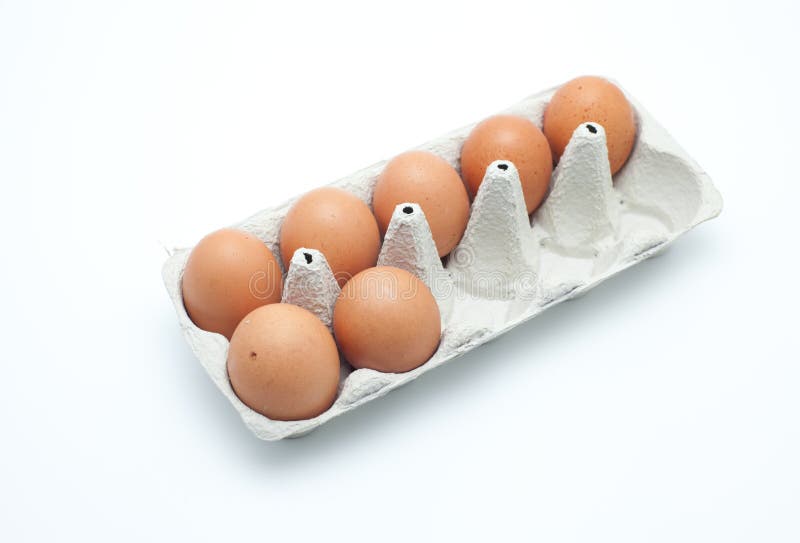 Eggs Carton stock photo. Image of protection, protein - 60699070