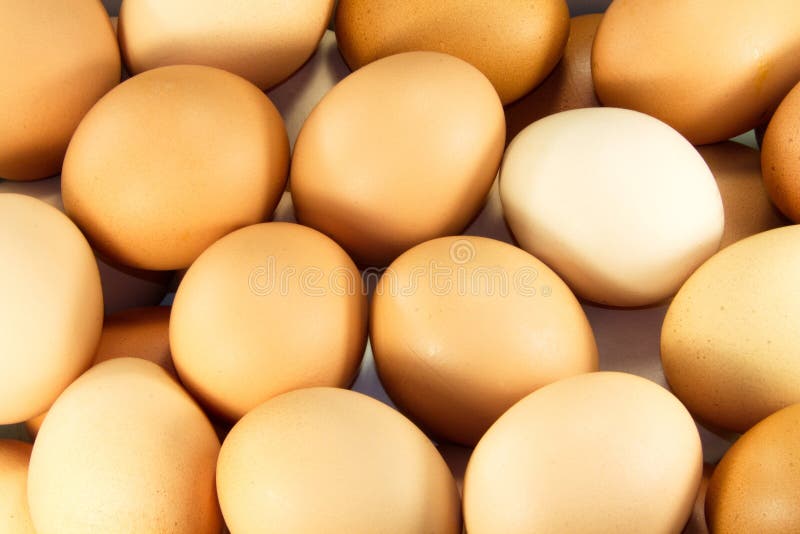 Eggs stock photo. Image of breakfast, chicken, food, white - 54352262