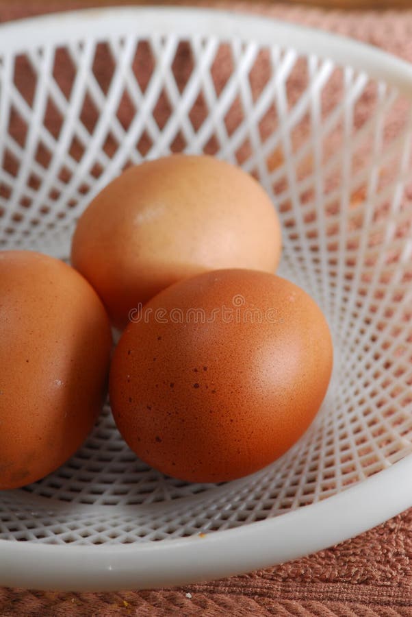 Eggs close up stock image. Image of three, eggs, micro - 20489415