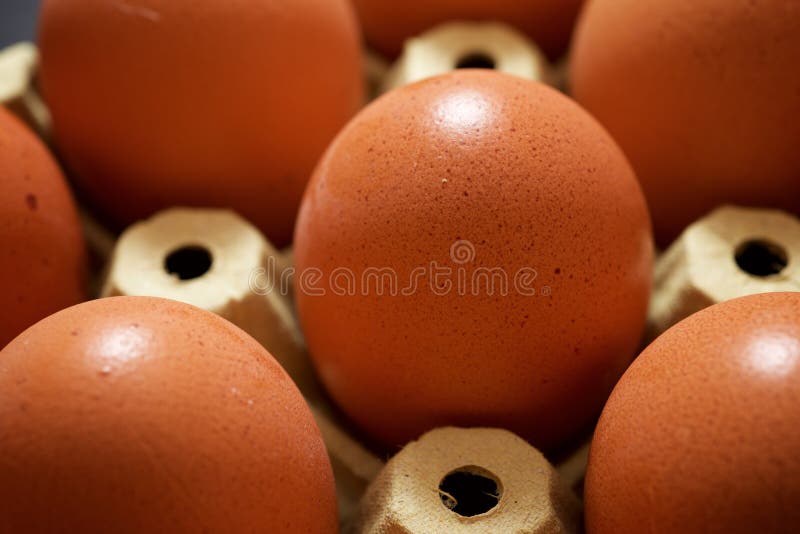 Eggs close up stock photo. Image of grocery, life, cuisine - 200495446