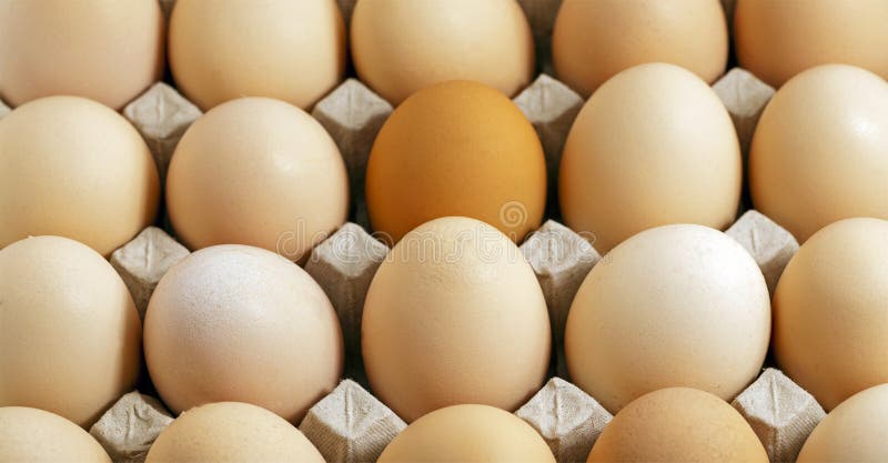 Eggs (close up) stock photo. Image of side, small, ingredient - 54788520