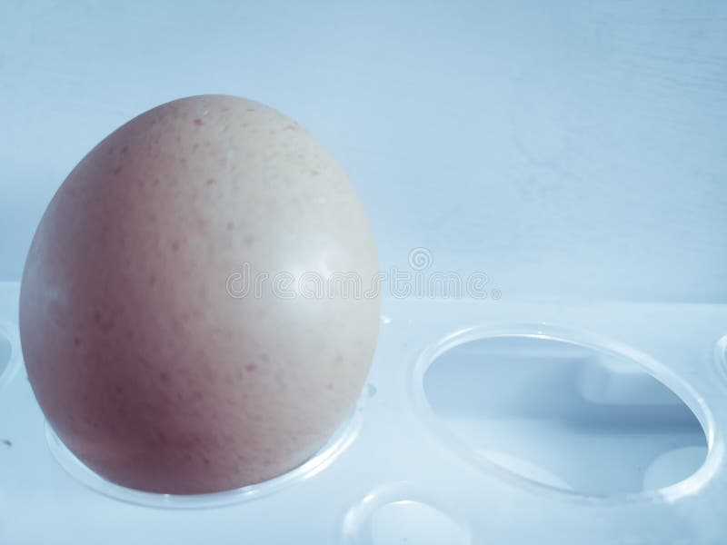 Eggs in cold storage stock photo. Image of food, supply - 22319862