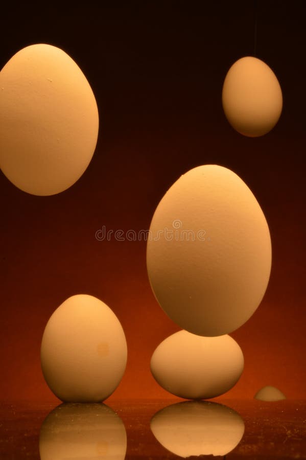 Eggs Floating Upward from Table Surface Stock Photo - Image of ascent ...