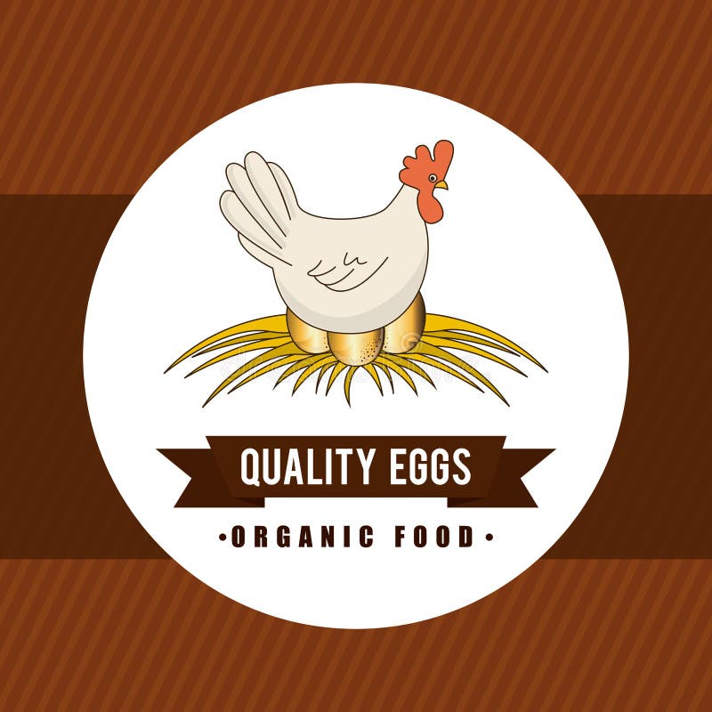 Eggs design stock vector. Illustration of vector, consumer - 44891398