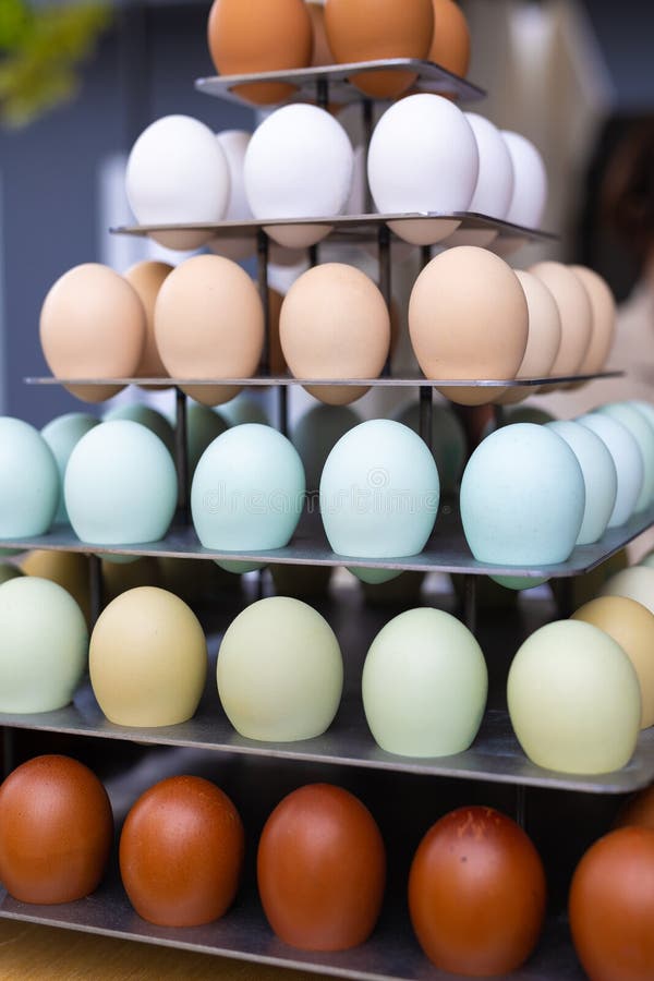 Eggs with Different Colors of Shells Placed on Top of a Display Stand ...