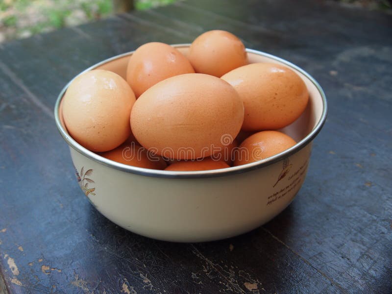 Eggs stock image. Image of small, children, round, eggs - 67137173