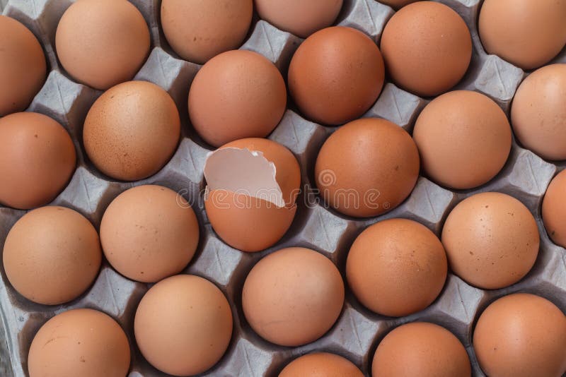 Eggs and Egg Shell in Paper Tray Stock Image - Image of grey, duck ...