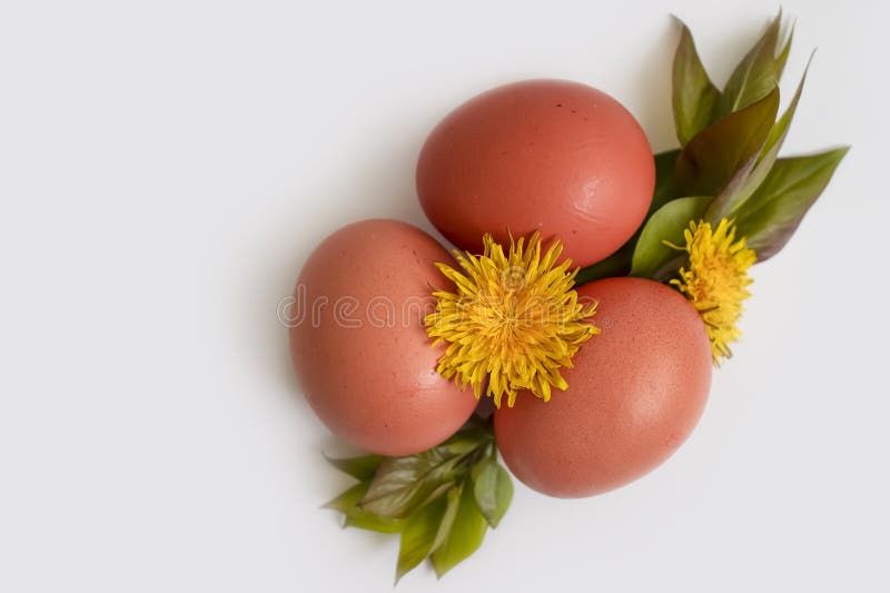 Eggs, Flower on a Light Background Template Stock Image - Image of ...