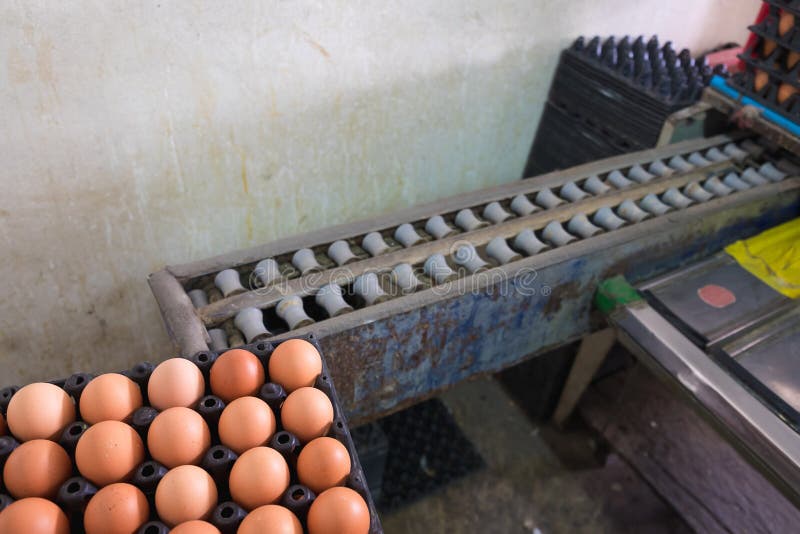 Production Line Scales Stock Photos - Free & Royalty-Free Stock Photos ...