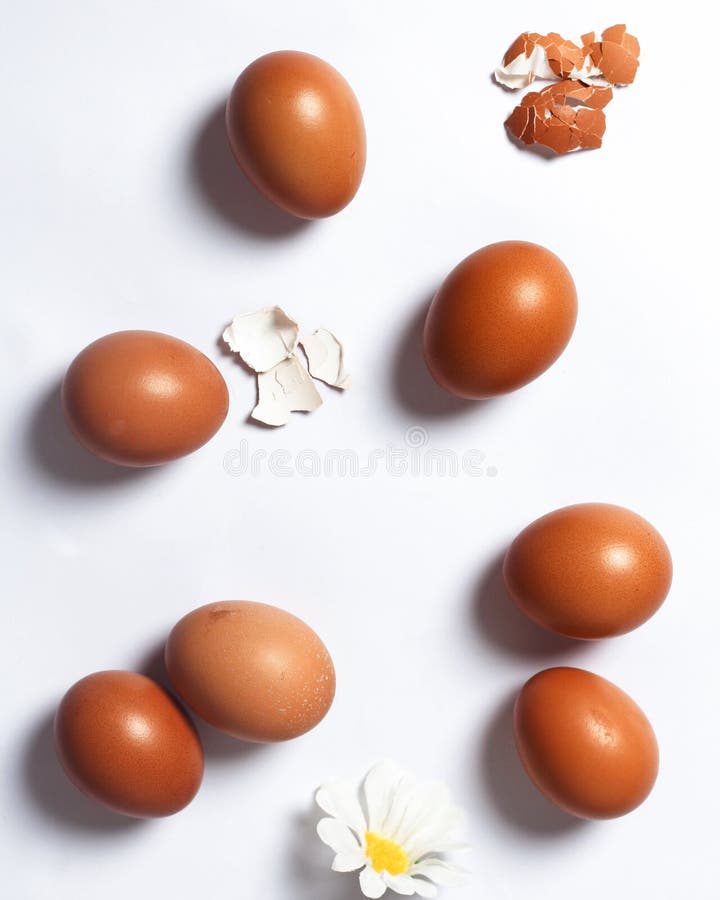 Eggs Isolated on a Bright Background. Front Photo. Stock Image - Image ...