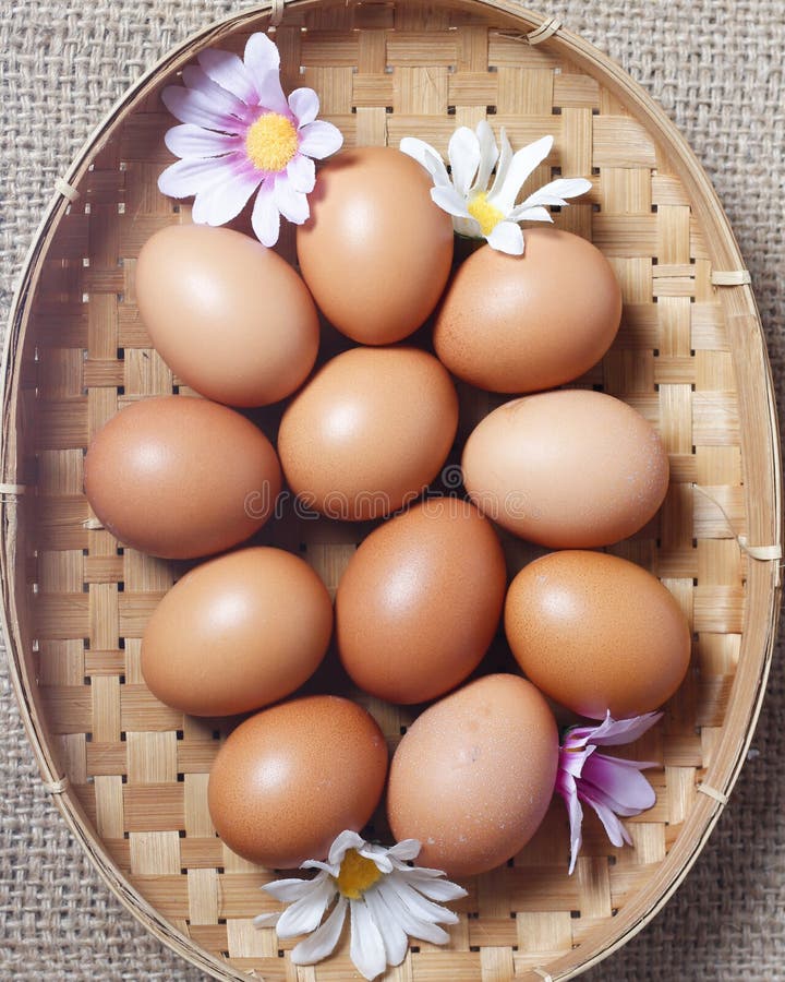 Eggs Isolated on a Bright Background. Front Photo. Stock Image - Image ...