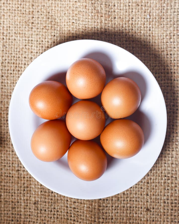 Eggs Isolated on a Bright Background. Front Photo. Egg Wallpapers Stock ...