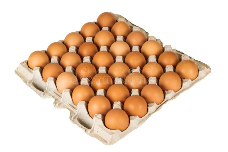 Eggs Isolated on White Background Stock Image - Image of healthy ...