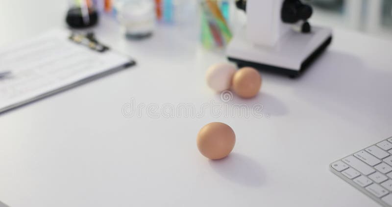 Eggs Lie on Table with Microscope in Modern Laboratory Stock Video ...